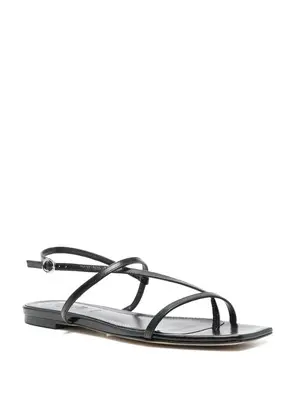 AeydĒ Ella Flat Sandals - Black