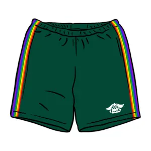 Supreme Hysteric Glamour Velour Short - Green