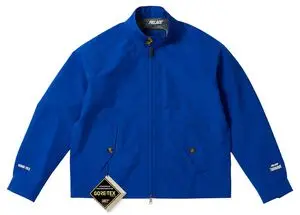 PALACE Gore-tex G4 Jacket - Blue