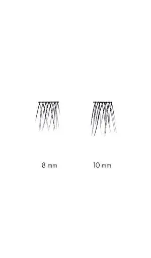 SWEED LASHES Medium No Lash Cluster Duo In Black