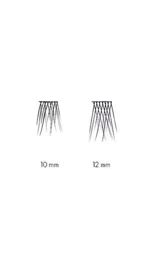 SWEED LASHES Long No Lash Cluster Duo In Black
