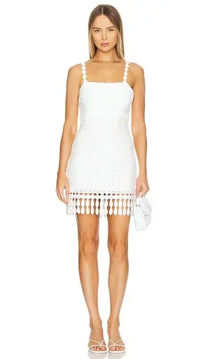 Saylor Sheath Dresses