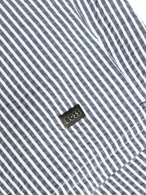 BOSS Velvetfish Striped Swim Shorts - Blue