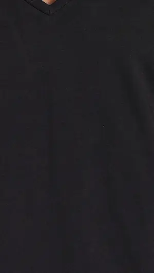 Falke Cotton V Neck Tee 2 Pack