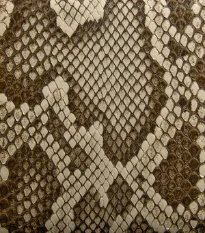 Bottega Veneta Knot Snakeskin Clutch - Gold