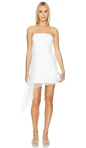 Strapless Corset Mini Dresses