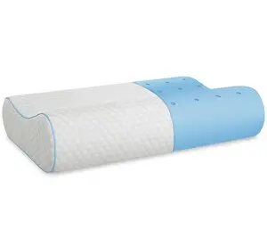 BODIPEDIC Aerofusion Contour Gel Memory Foam Be D Pillow