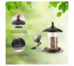 BACKYARD EXPRESSIONS Metal Hanging Bird Feeder Or Outside