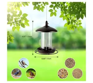 BACKYARD EXPRESSIONS Metal Hanging Bird Feeder Or Outside