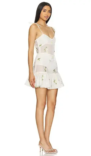 KIM SHUI Embroidered Chiffon Mini Dress