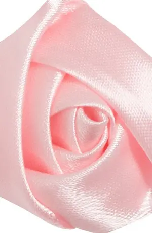 Bp. Satin Rosette Barrettes 2 Pack