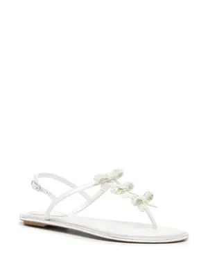 Rene Caovilla Caterina Thong Sandals