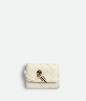 Bottega Veneta Andiamo Small Envelope Sea Salt