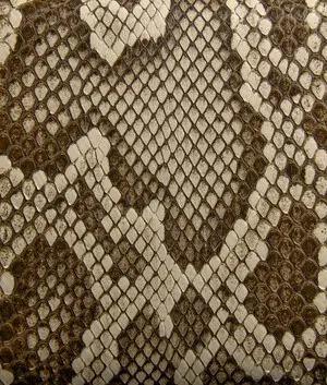 Bottega Veneta Python Minaudière With Knot Clasp - Roccia