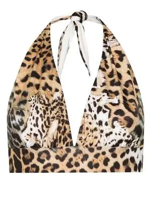 Roberto Cavalli Jaguar Skin-print Bikini Top - Neutrals