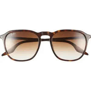 Ray-ban Ray-Ban 55mm Square Sunglasses Havana