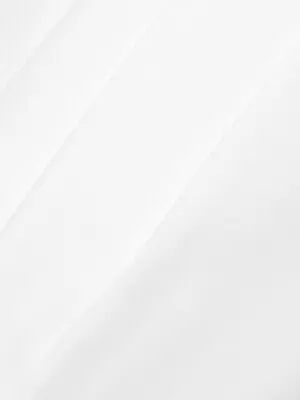 RÓHE Pleated Wide-leg Cotton Trousers - White
