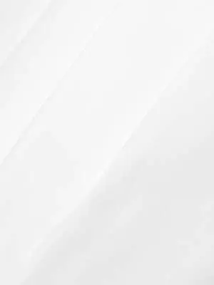 RÓHE Pleated Wide-leg Cotton Trousers - White