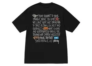 StÜssy Heal The Bay Pigment Dyed Summit To Sea Tee Shirt