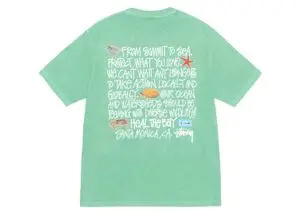 StÜssy Heal The Bay Pigment Dyed Summit To Sea Tee Shirt Seafoam