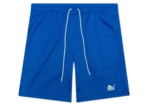 PUMA X Tmc Every Day Hussle Mesh Shorts - Blue