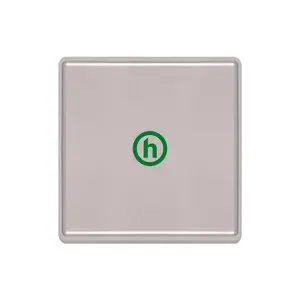 HIDDEN NY H Logo Tray