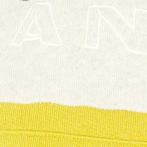 Isabel Marant Wasil Sweatshirt