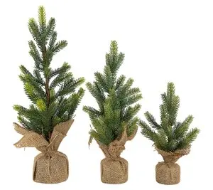 NORTHLIGHT Mini Pine Trees With Burlap Base 1 Set Of 3 - One-color