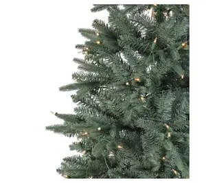 NORTHLIGHT Washington Frasier Fir Tree 9' C Ear Lights