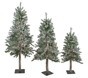 NORTHLIGHT Set Of 3 Flocked Alpine Christmas Tr Ees Unlit - One-color