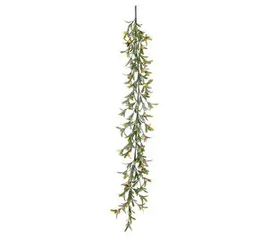 PULEO INTERNATIONAL 60' Artificial Mistletoe Sp Ring Garland - One-color
