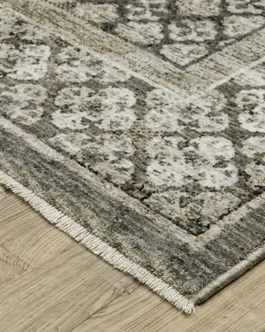 ORIENTAL WEAVERS Chamberlain Ch02d Area Rug, 7'10 X 10'10