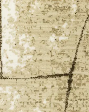ORIENTAL WEAVERS Reed Re10a Area Rug, 3'3 X 5