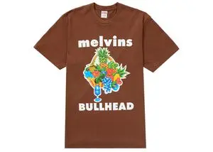Supreme Melvins Bullhead Tee Shirt - Brown