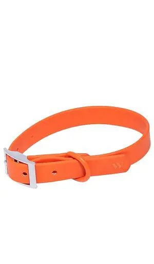 WILD ONE X Collar In Burnt Orange - Blaze
