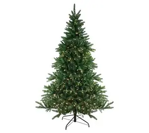 NORTHLIGHT Noble Fir Tree 9' Dual Color Led Lights - One-color