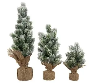 NORTHLIGHT Pine Trees With Burlap Base 18' Et Of 3 - One-color