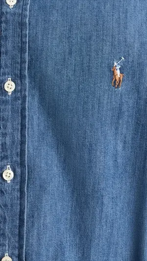 Polo Ralph Lauren Classic Fit Shirt