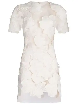 silvia tcherassi balerina embroidered mini dress Silvia Tcherassi