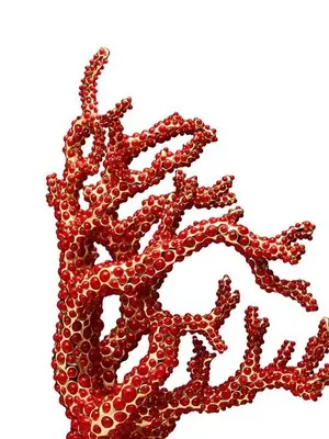 L'Objet Coral Sculpture