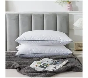 ROYAL VELVET White European Down And Nano Feath Er Pillow- King - One-color