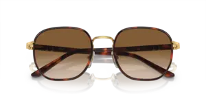 Persol Sunglasses - Gradient Brown