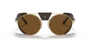 Persol Protector Round Sunglasses - Polar Brown