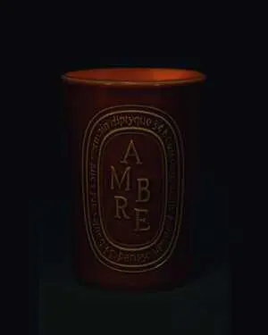 DIPTYQUE Ambre Candle, 600g