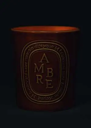 DIPTYQUE Ambre Candle, 600g