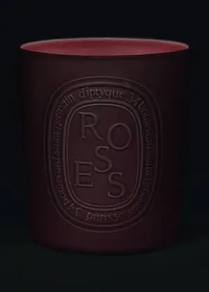 DIPTYQUE Rose Candle, 1500g - One-color
