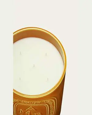 DIPTYQUE Ambre Candle, 1500g