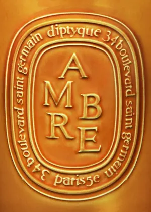 DIPTYQUE Ambre Candle, 1500g