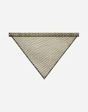 Dolce & Gabbana Triangular Veil