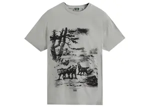 Kith Amnh Wolves Vintage Tee Shirt - Concrete
